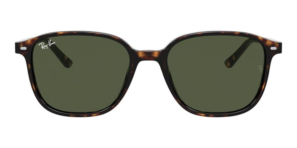 Ray-Ban LEONARD RB 2193 unisex Havana Geometric Sunglasses – Otticanet